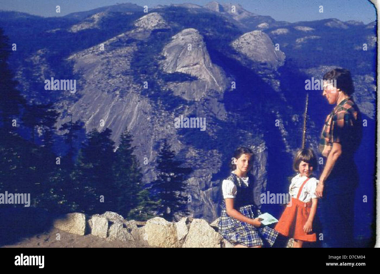 Jack Canary Special Collection Photo Stock Photo - Alamy