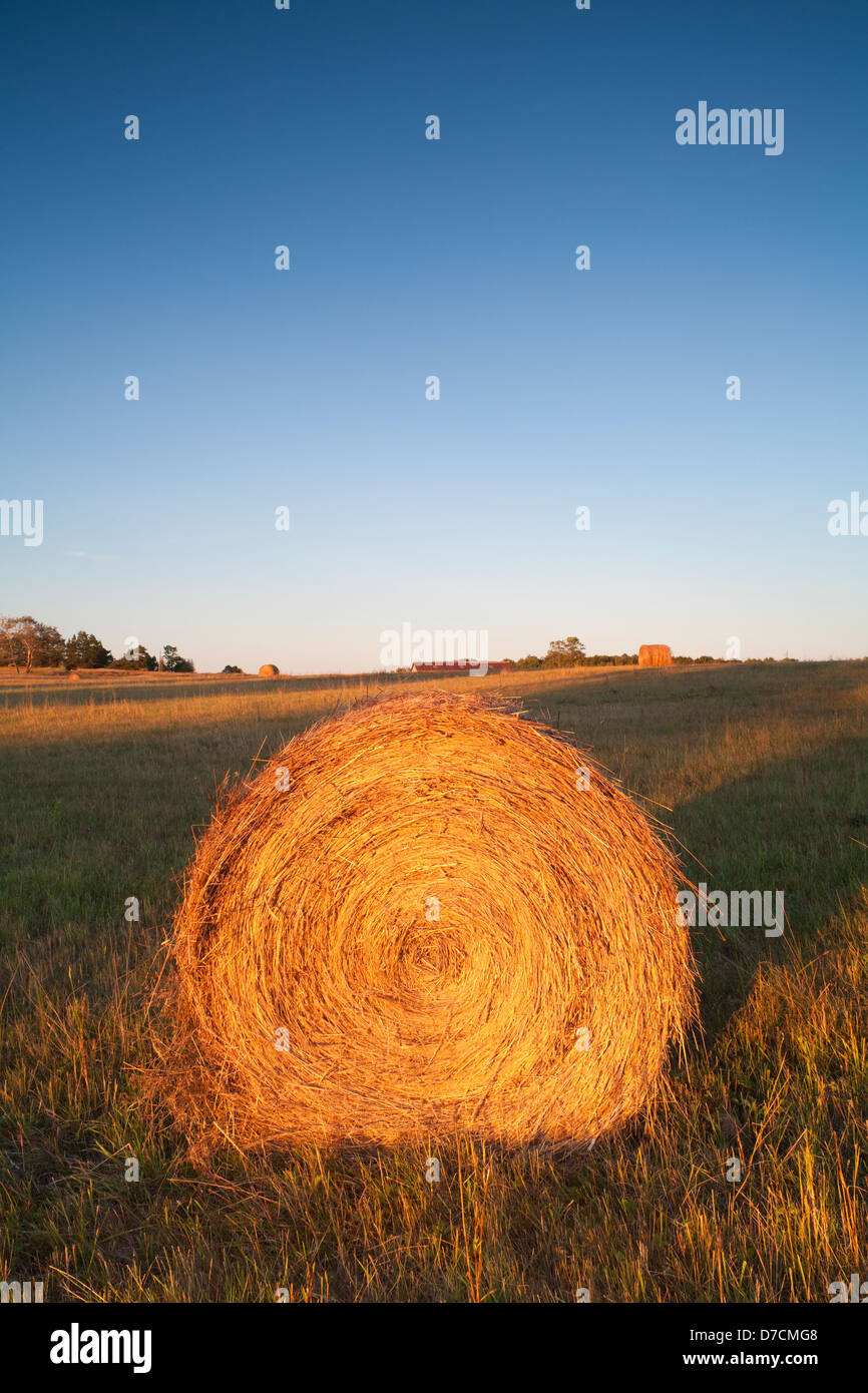 Hay bale at sunset with blue sky. Simcoe County, Ontario, Canada Stock ...