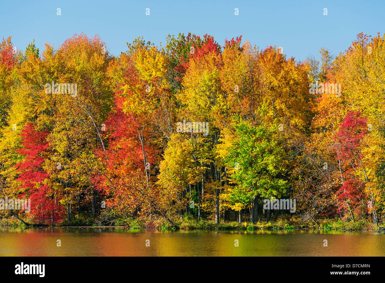 Lake county ohio fall colors hi-res stock photography and images - Alamy