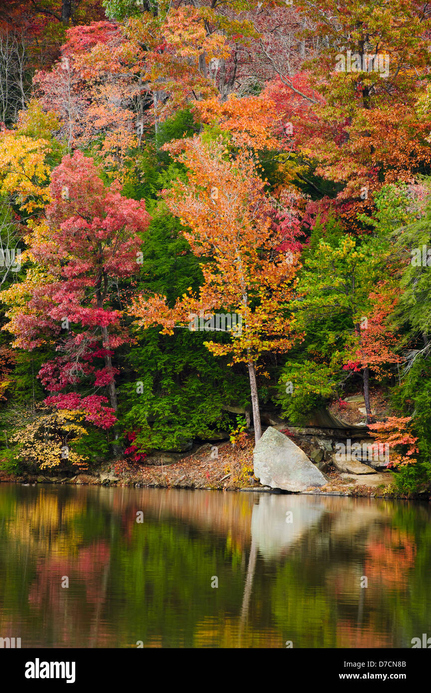 Trees in autumn colours reflected in a lake;Ohio united states of ...
