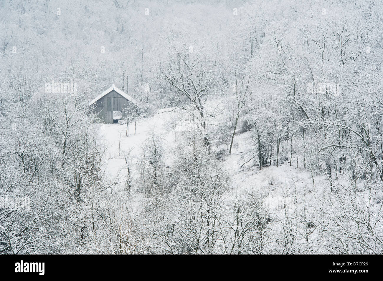 A barn surrounded by trees and snow in winter;Ohio united states of ...