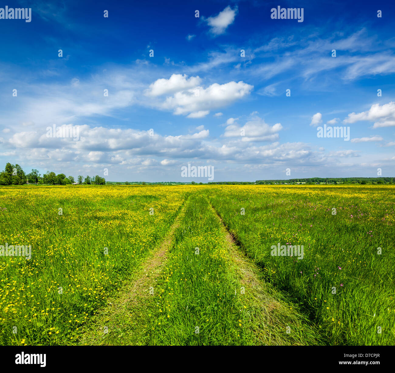 Spring summer background - rural road in green grass field meadow ...