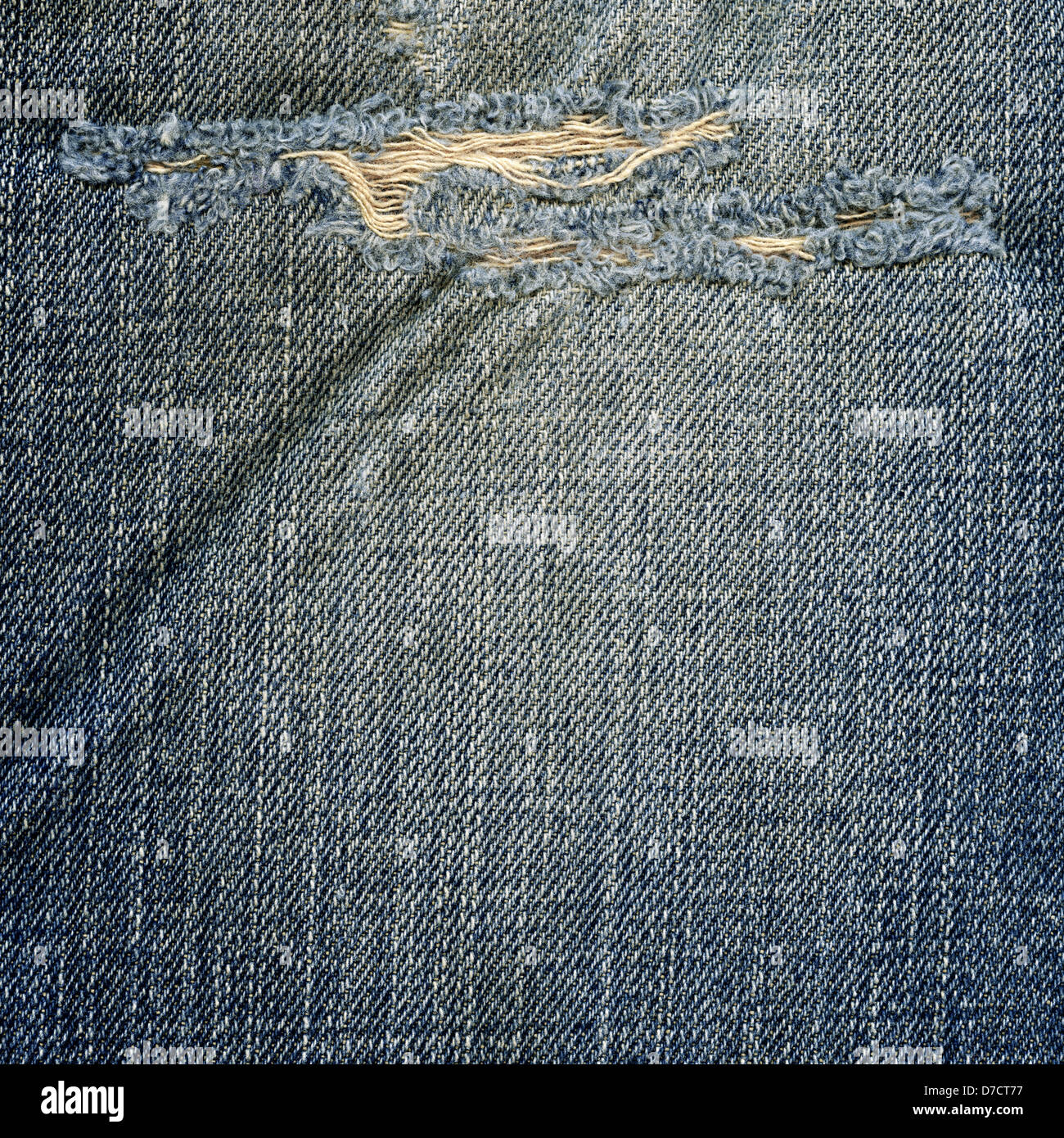 High resolution scan blue denim fabric large rip general worn-out look ...