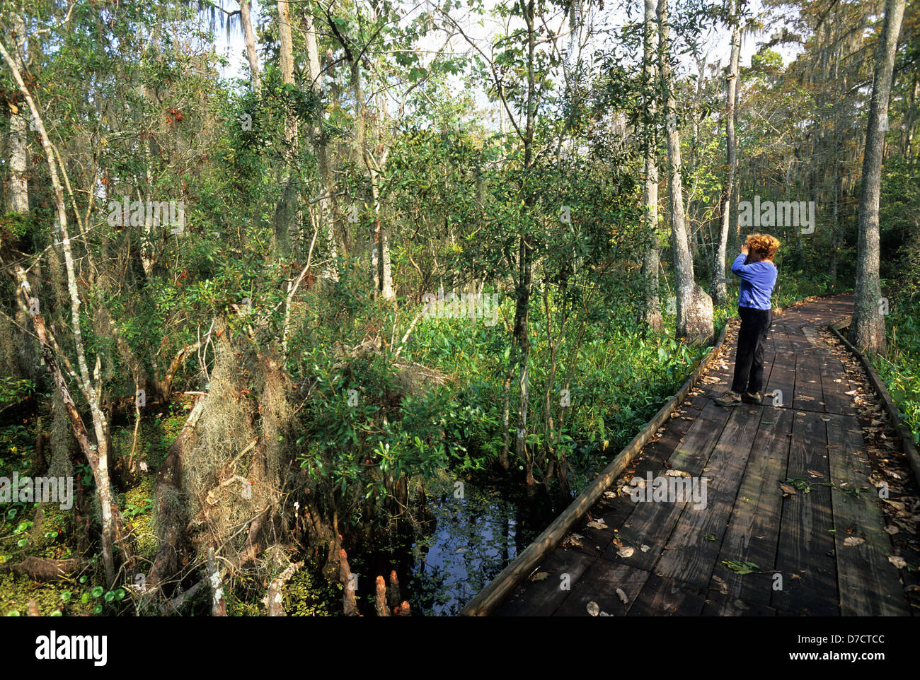 Elk283-2452 Louisiana, Jean Lafitte National Historic Park, Barataria ...