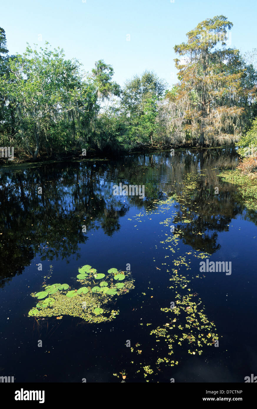 Elk283-2472v Louisiana, Jean Lafitte National Historic Park, Barataria ...