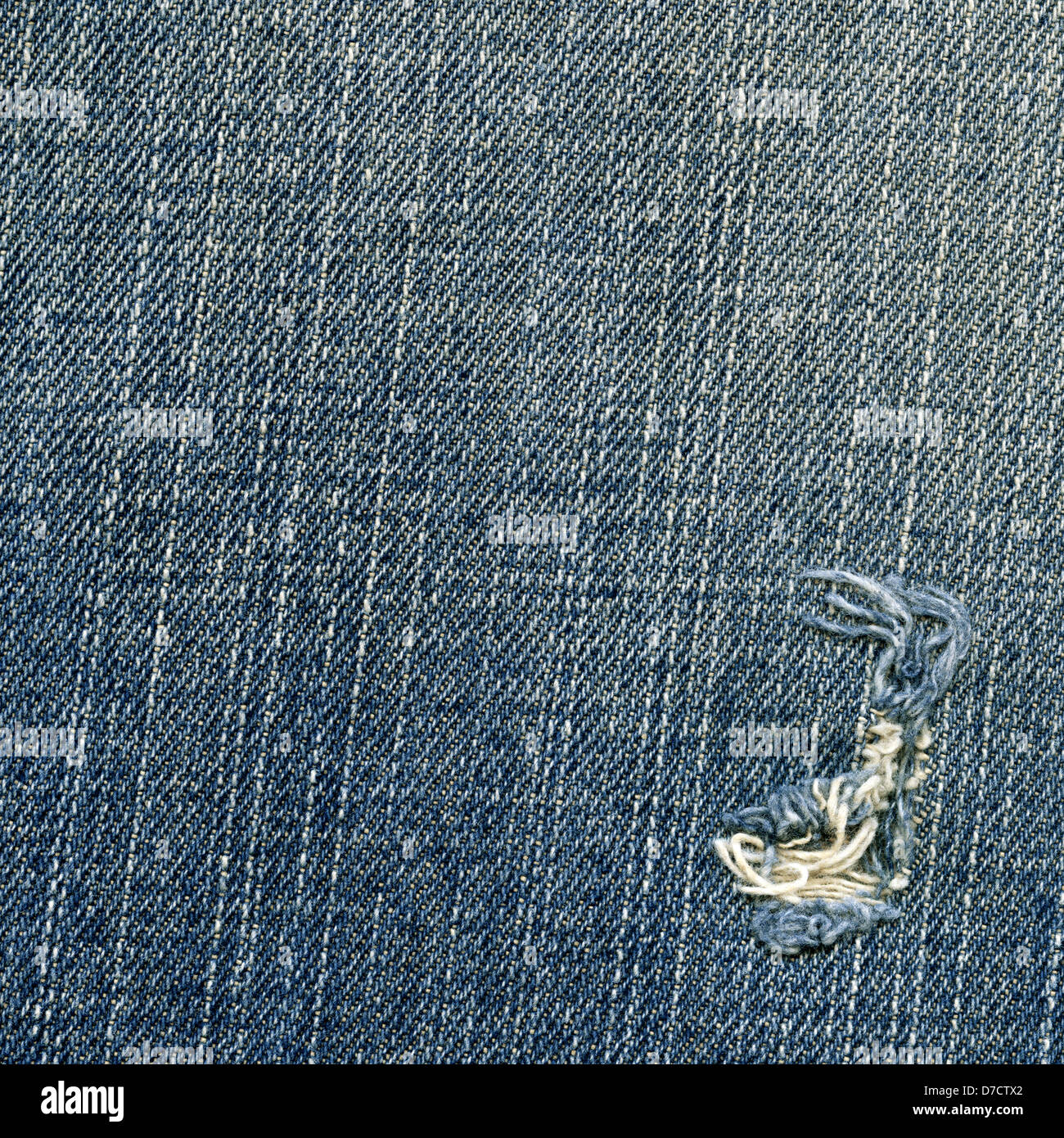 High resolution scan blue denim fabric large rip general worn-out look ...