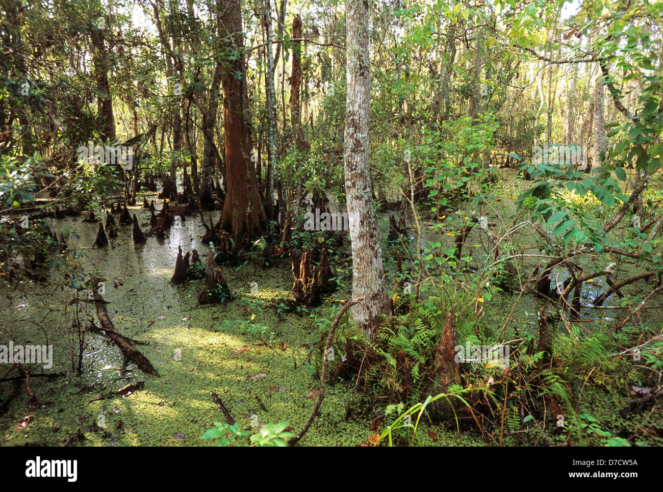 Jean lafitte hi-res stock photography and images - Alamy