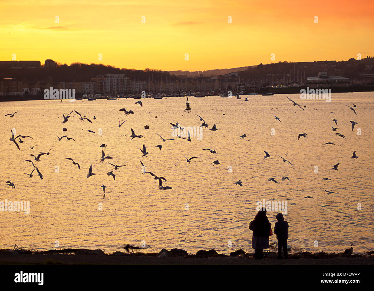Cardiff silhouette hi-res stock photography and images - Alamy