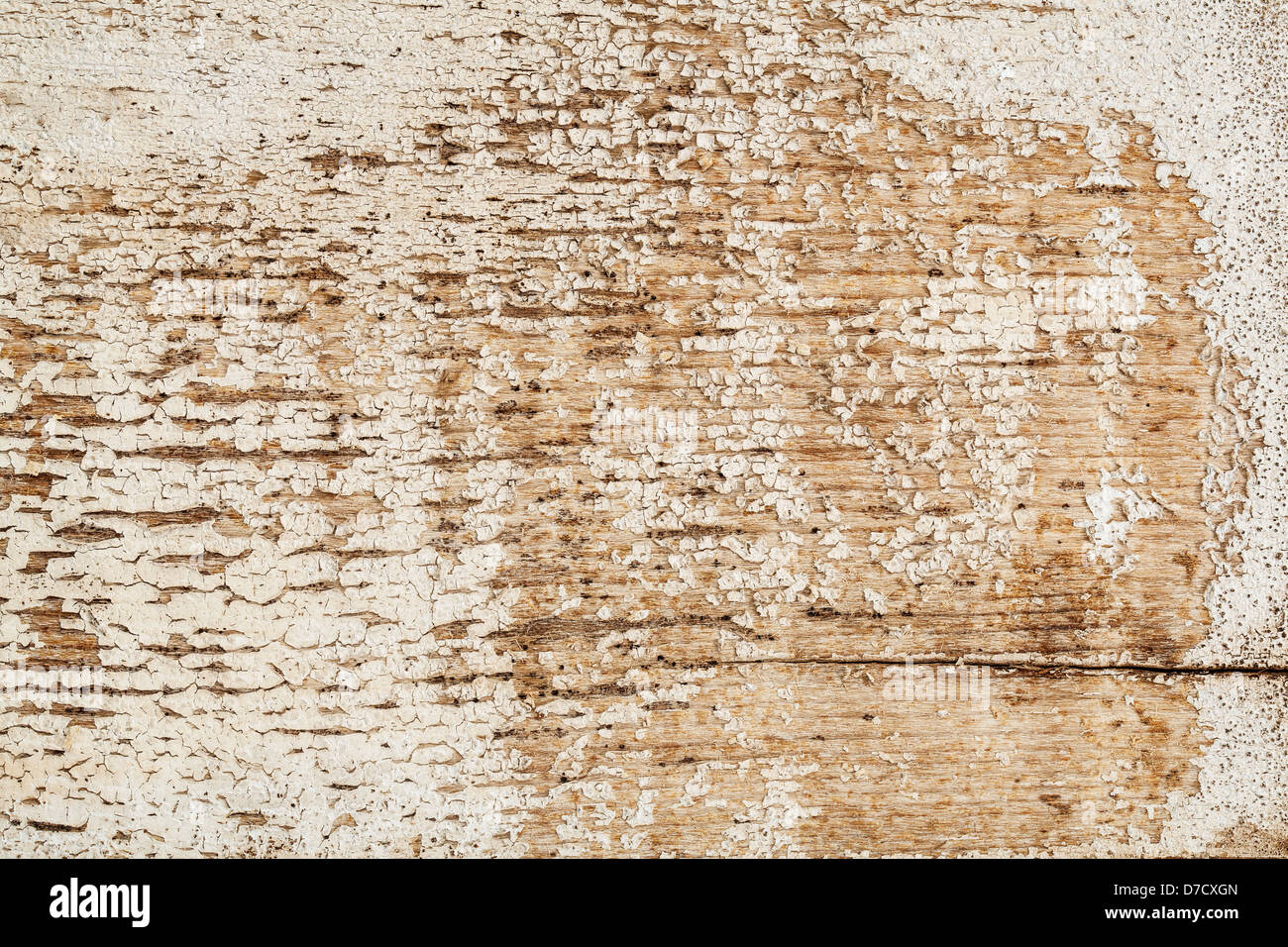 grunge weathered barn wood painted white - texture Stock Photo - Alamy