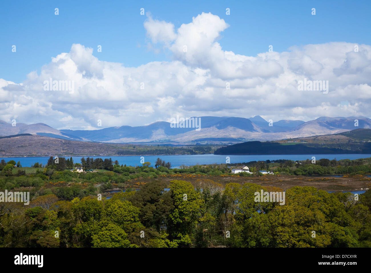 Tuosist near kenmare with kenmare bay in the background;County kerry ...