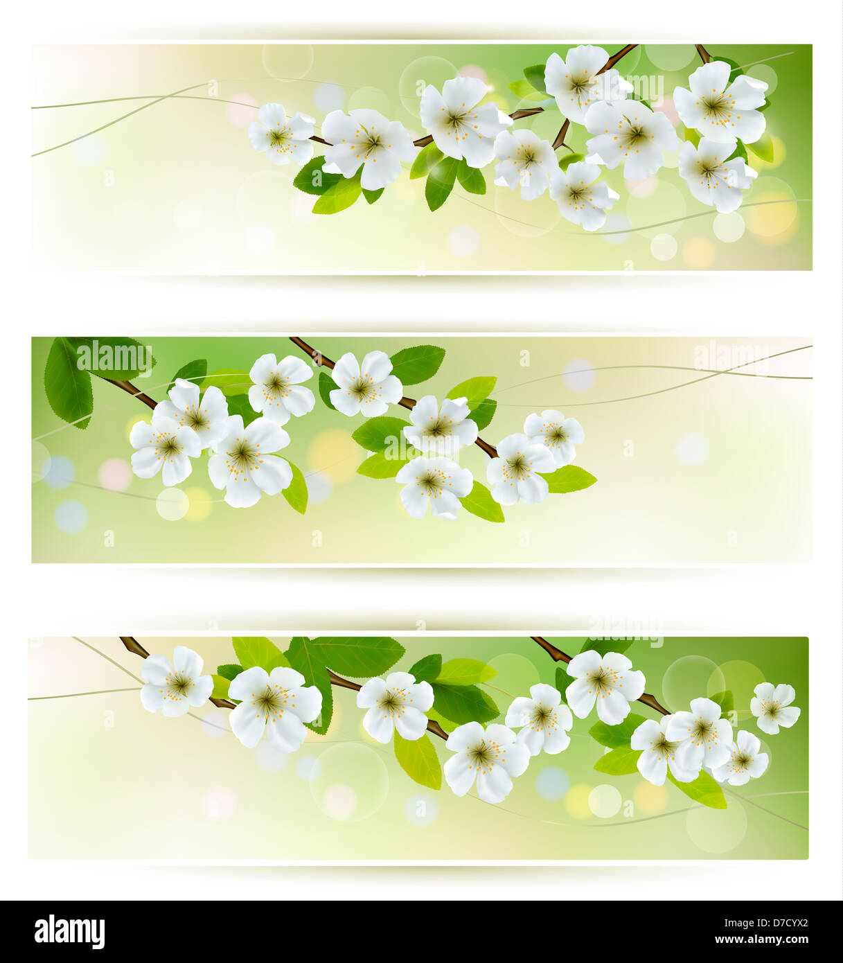 Three banners with blossoming tree branches. Vector illustration Stock ...