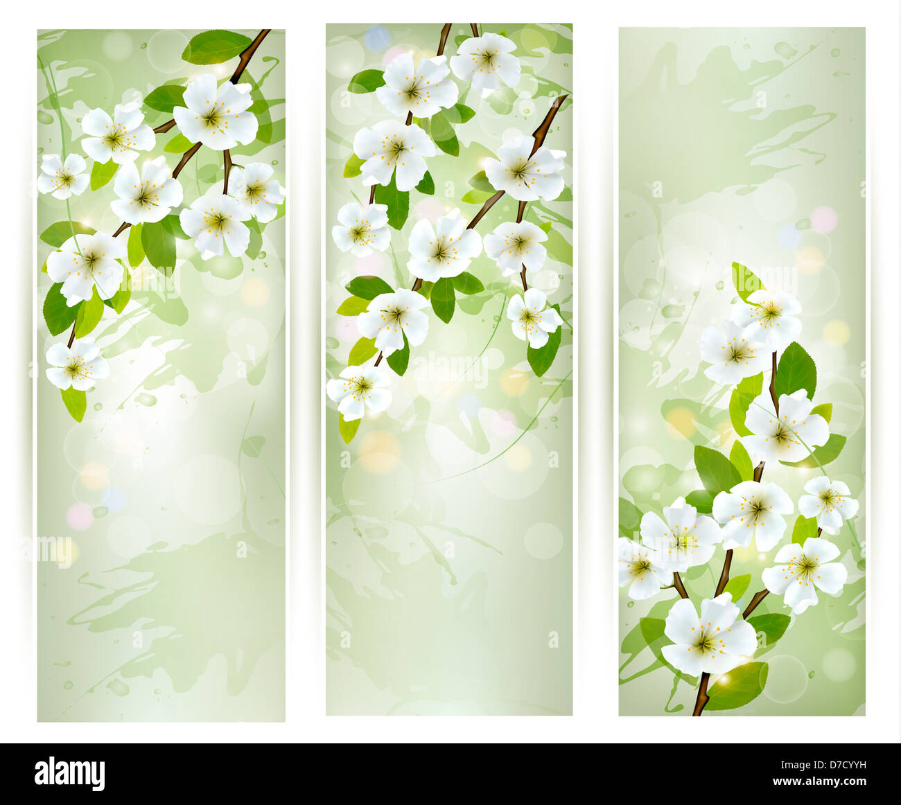 Three banners with blossoming tree branches. Vector illustration Stock ...