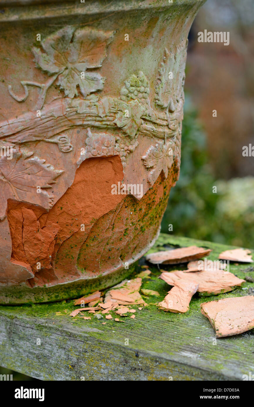 Food damage hi-res stock photography and images - Alamy