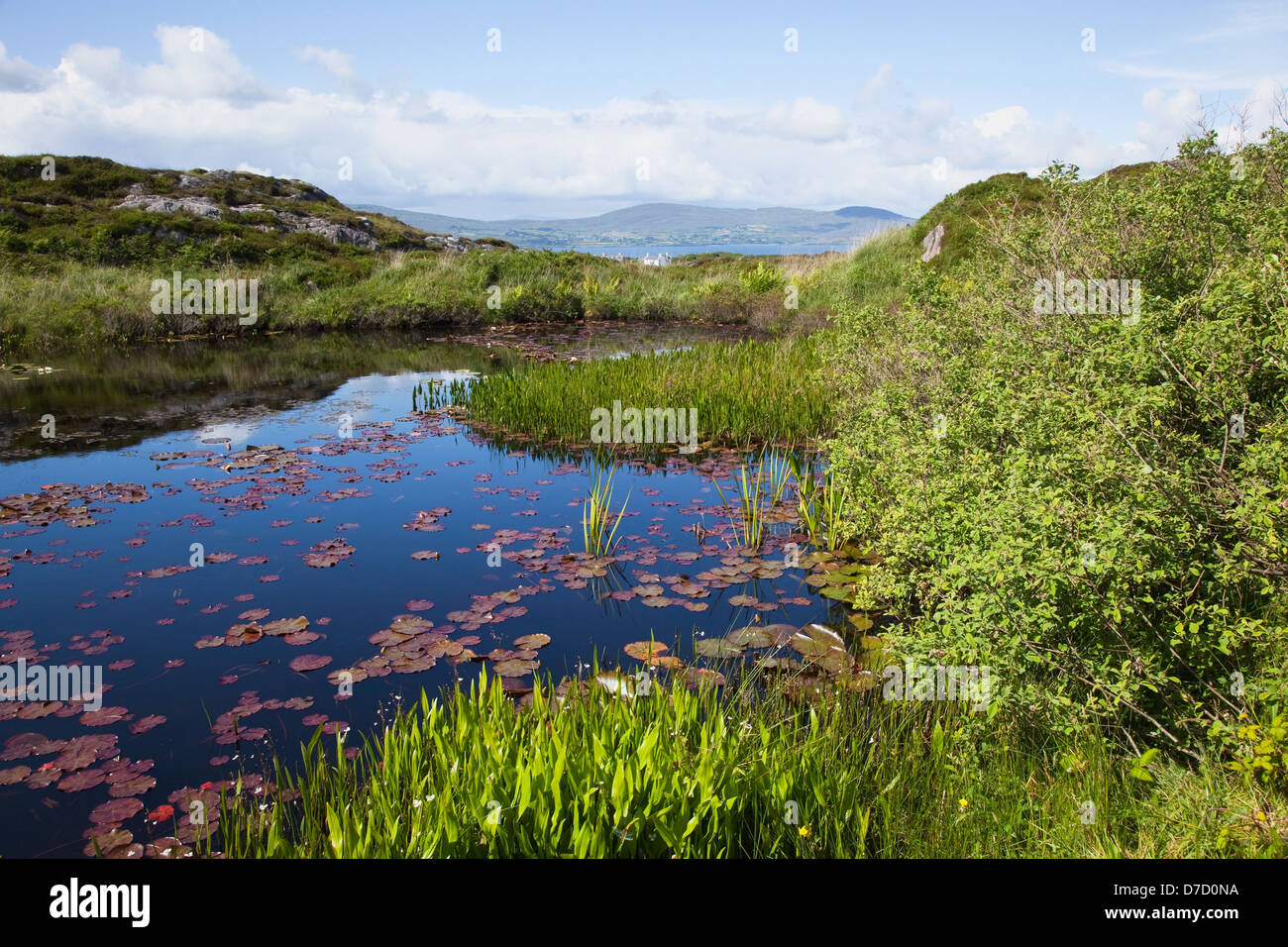 Dunmanus bay cork ireland hi-res stock photography and images - Alamy