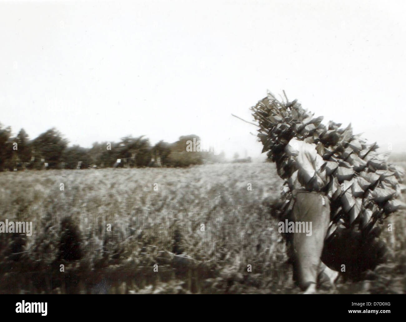 This photograph, part of the Charles Daniels album, shows five Japanese ...