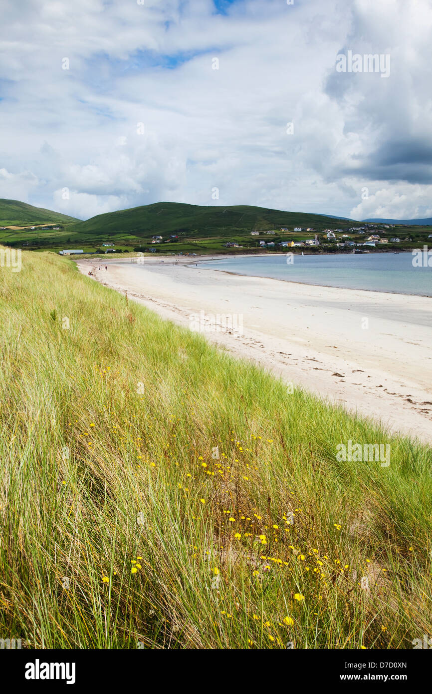 Footprints on the beach with a view of the village of ventry;Ventry ...
