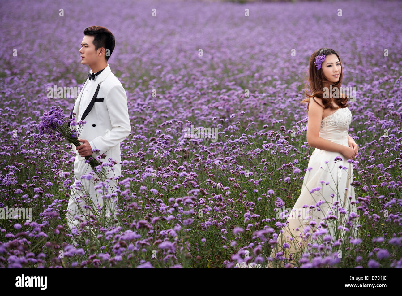 Romantic Lavender wedding couple Stock Photo - Alamy
