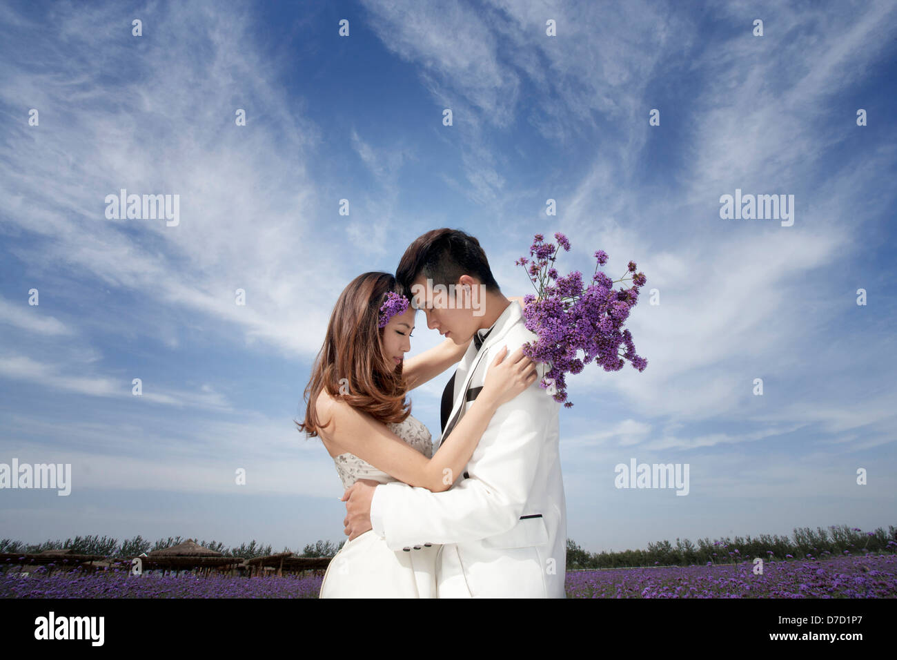 Romantic Lavender wedding couple Stock Photo - Alamy