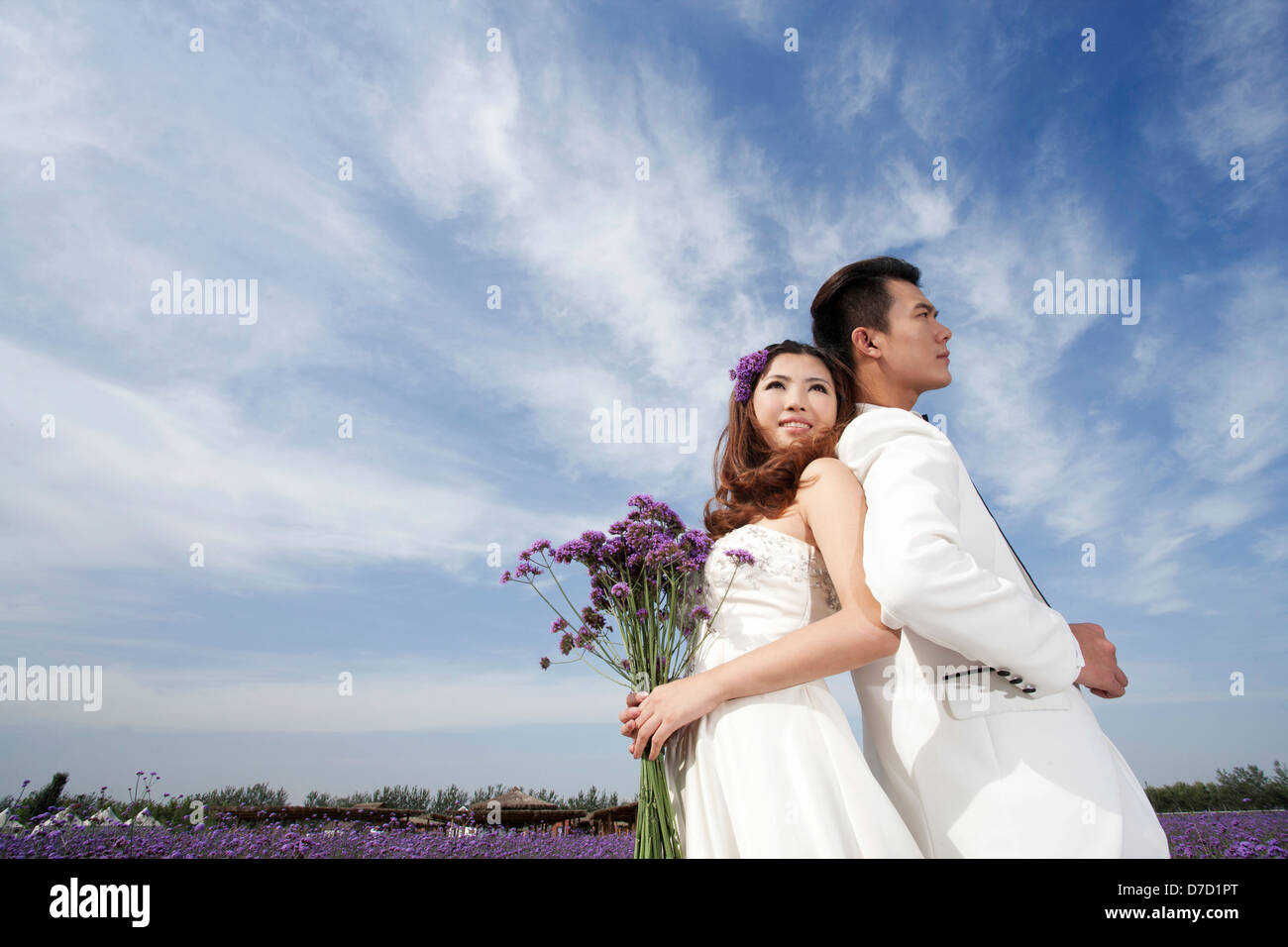 Romantic Lavender wedding couple Stock Photo - Alamy