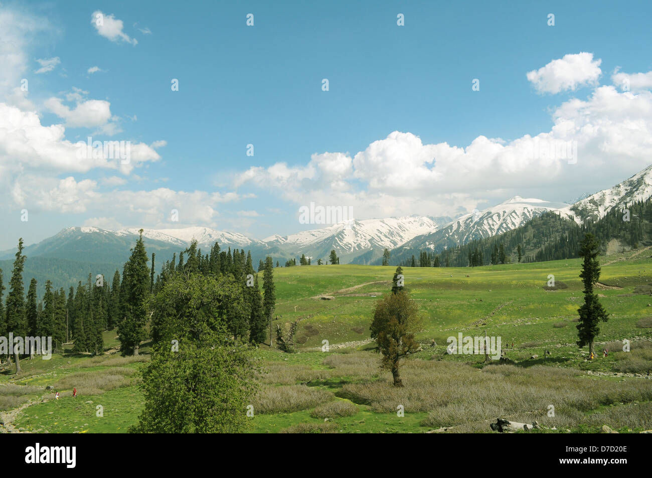 Beautiful scenery of Gulmarg, Kashmir, India Stock Photo - Alamy