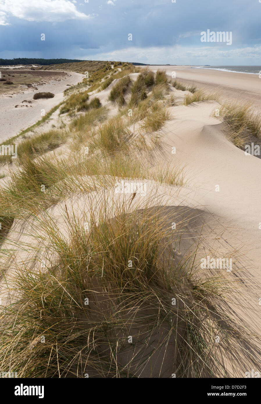 Blown sand hi-res stock photography and images - Alamy
