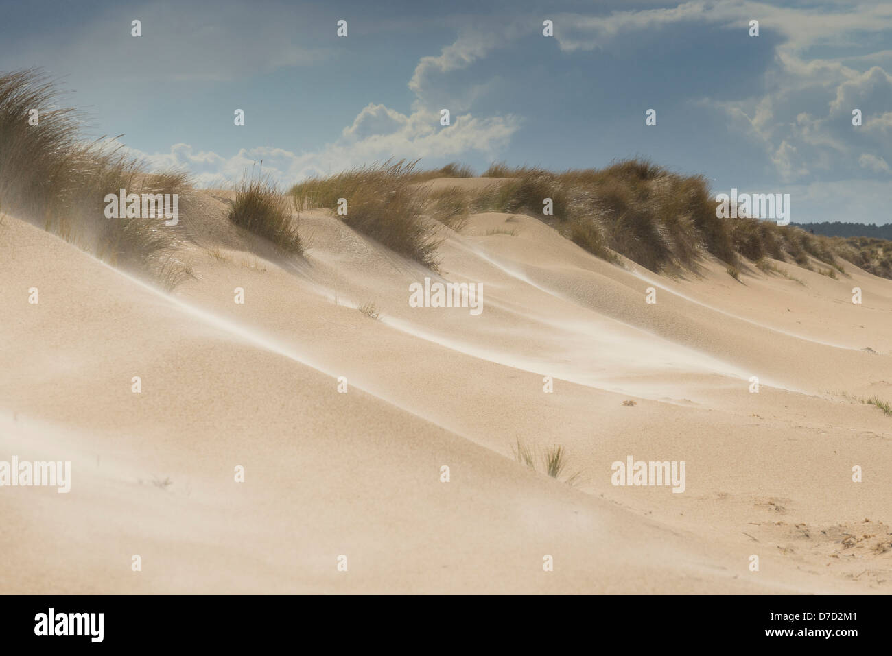 Wind blown sand hi-res stock photography and images - Alamy