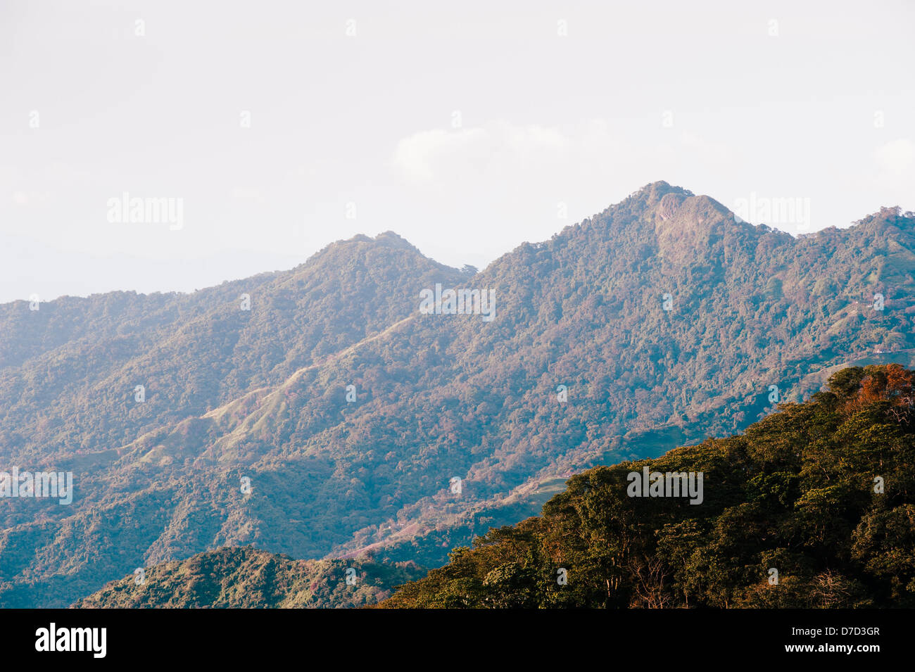 Colombia - Rain forest in the mountains of the Sierra Nevada de Santa ...