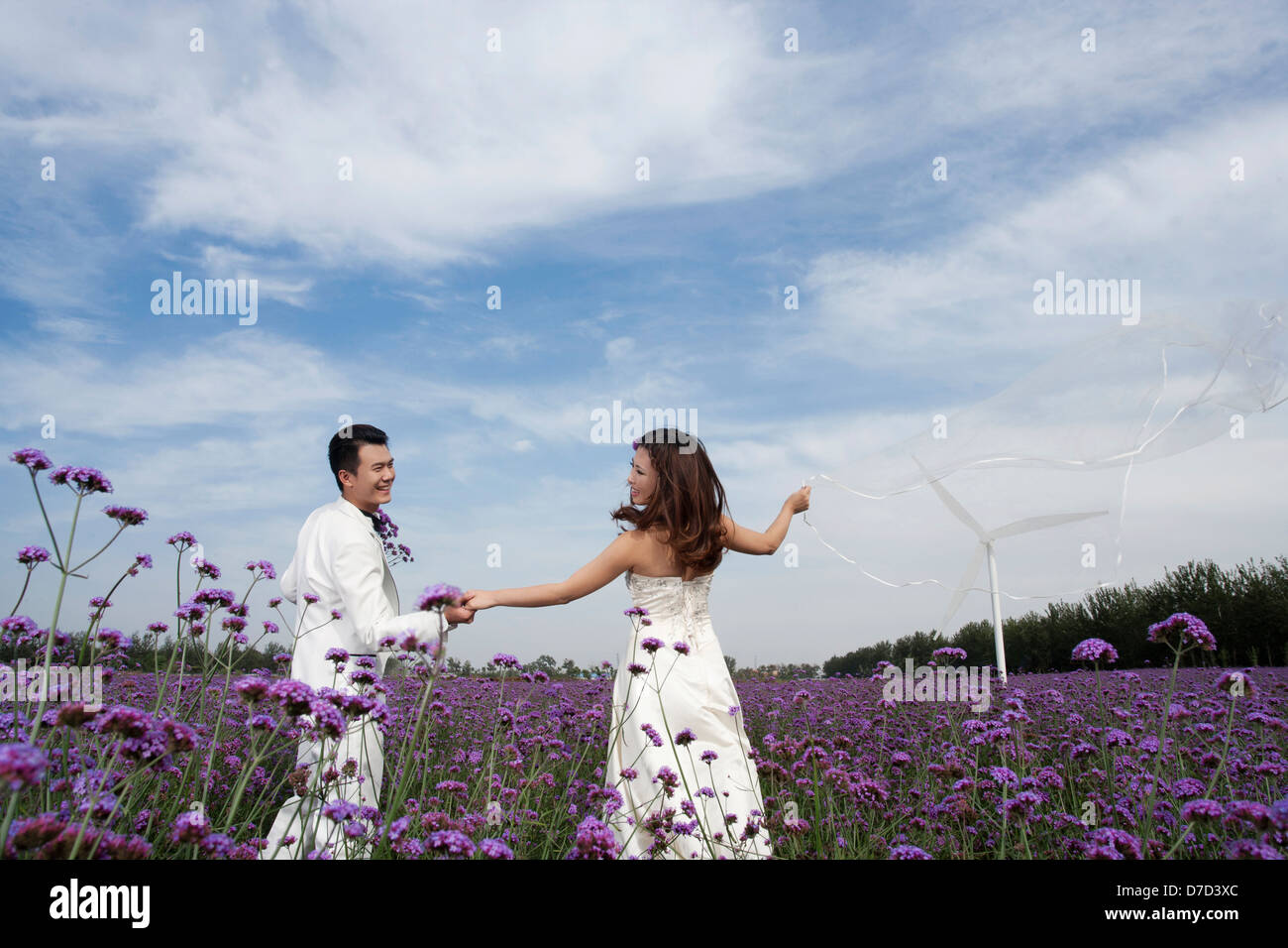 Romantic Lavender wedding couple Stock Photo - Alamy