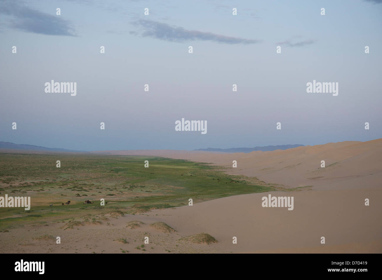 Gobi desert in Mongolia Stock Photo - Alamy