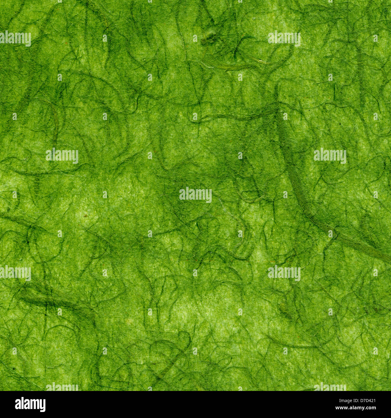 High resolution scan of green rice paper. Scanned at 2400dpi using a ...