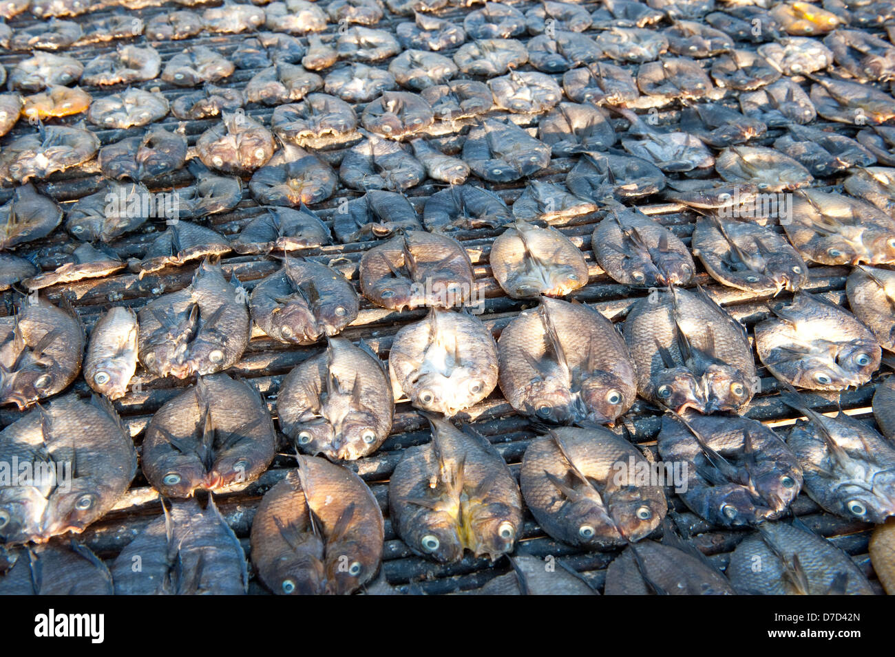 Drying fish malawi hi-res stock photography and images - Alamy