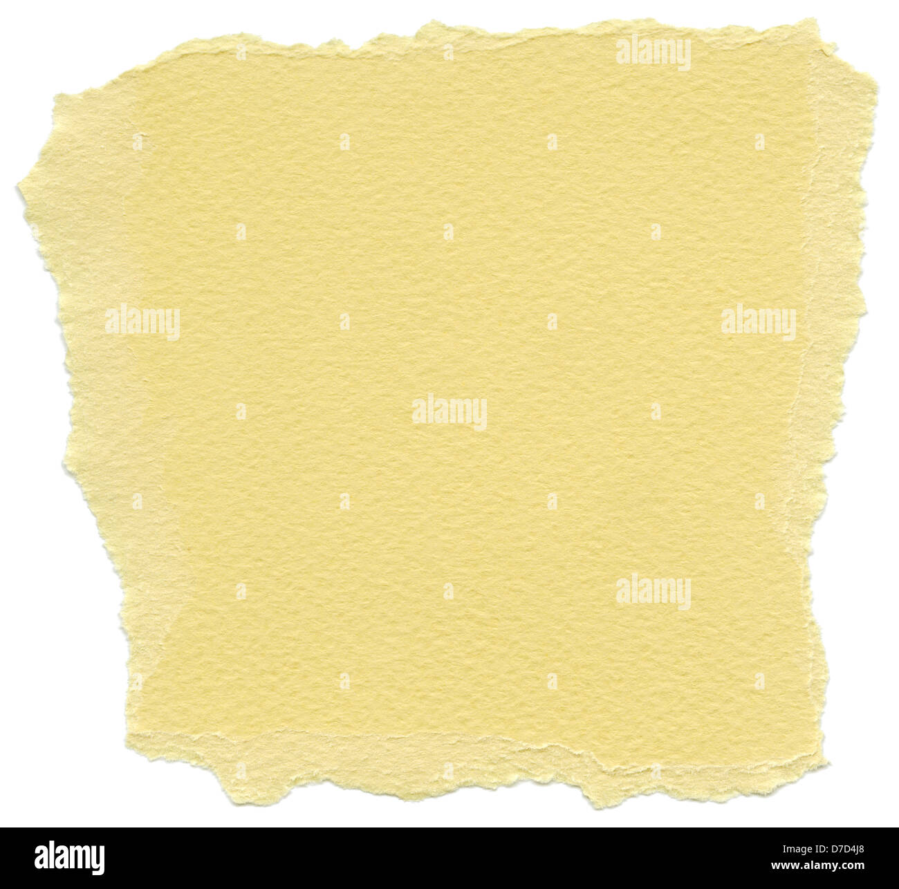 Texture buff yellow fiber paper torn edges. Isolated on white ...