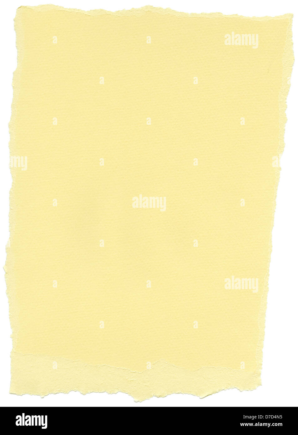 Texture Jasmine yellow fiber paper torn edges. Isolated on white ...