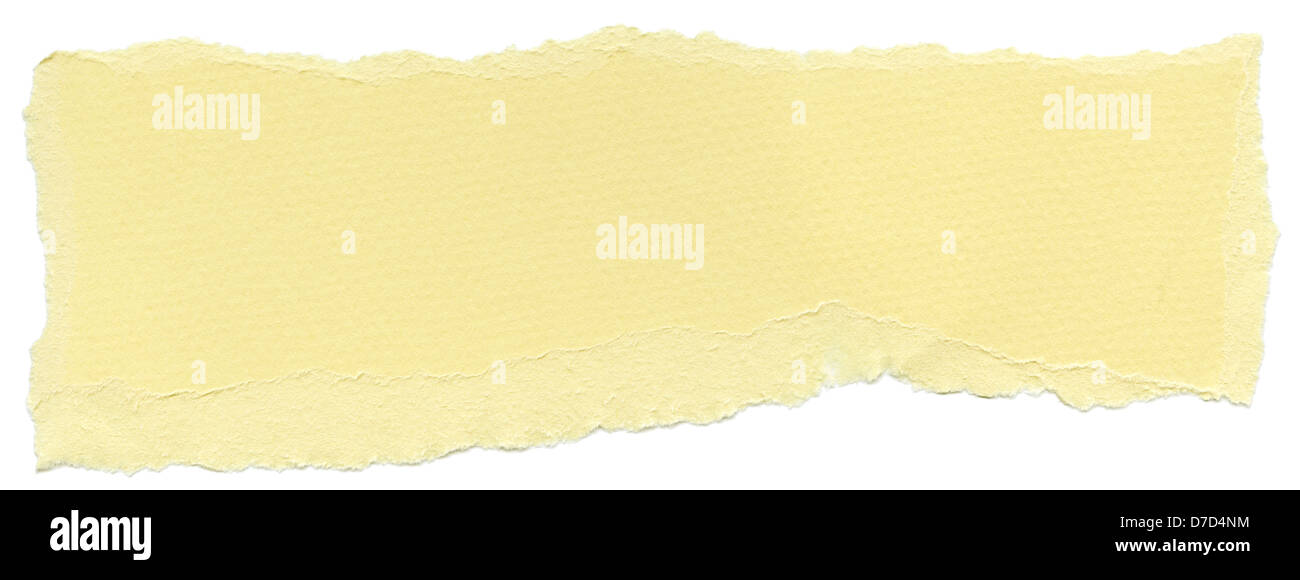 Texture Jasmine yellow fiber paper torn edges. Isolated on white ...