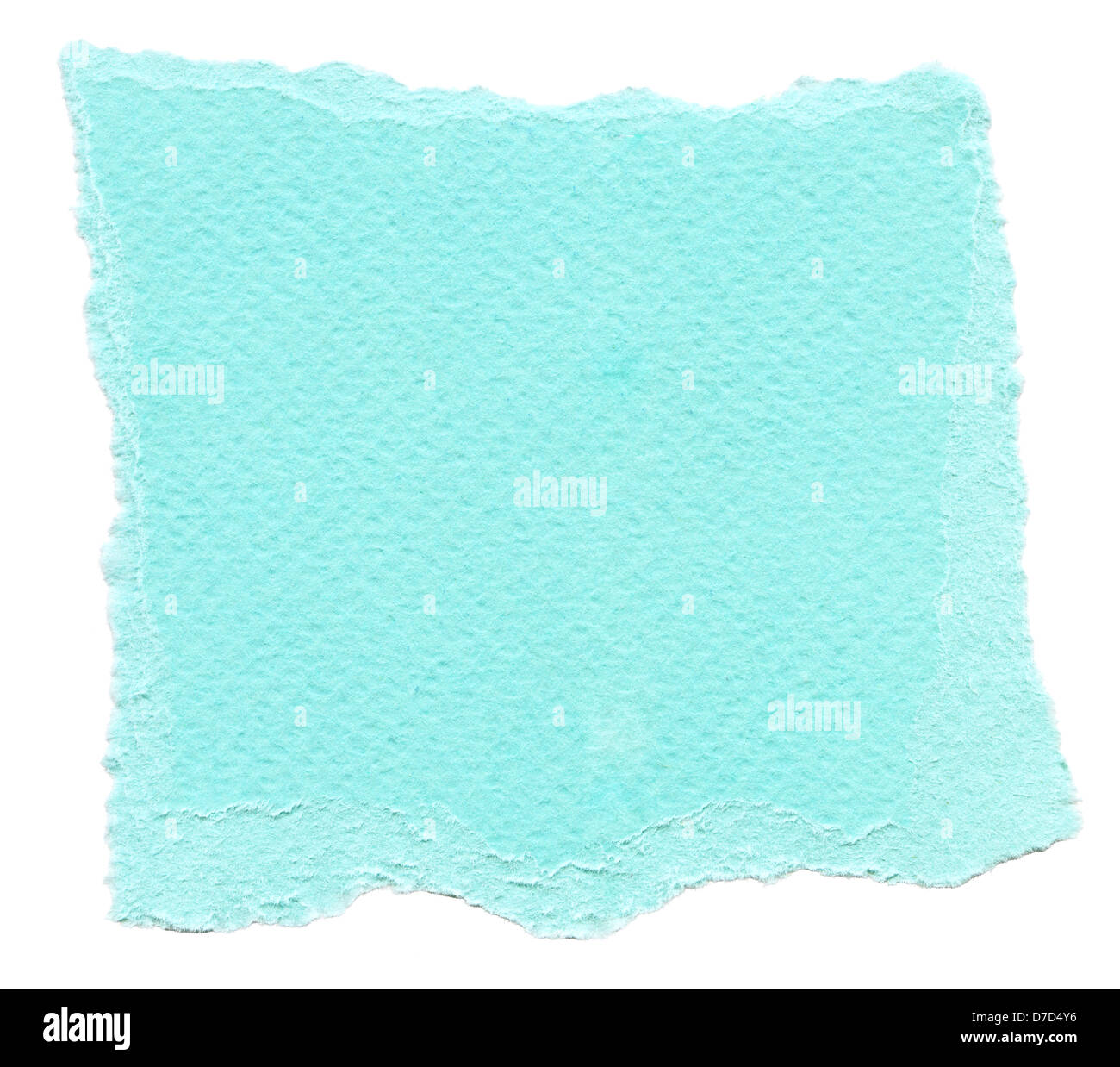 Texture cyan fiber paper torn edges. Isolated on white background ...
