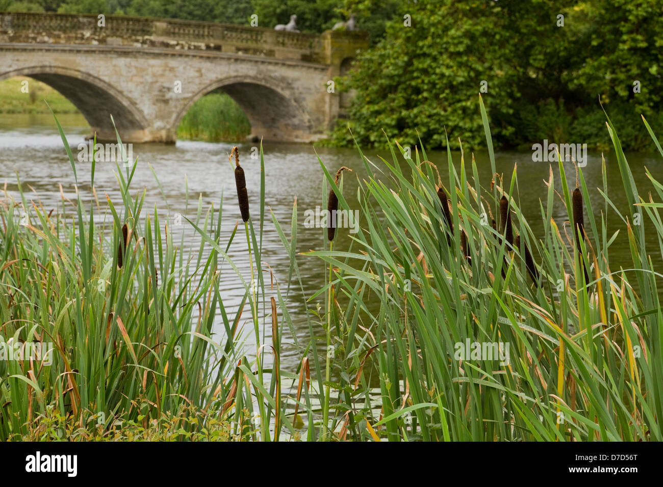 England Compton Verney gardens Capability Brown lake Stock Photo - Alamy