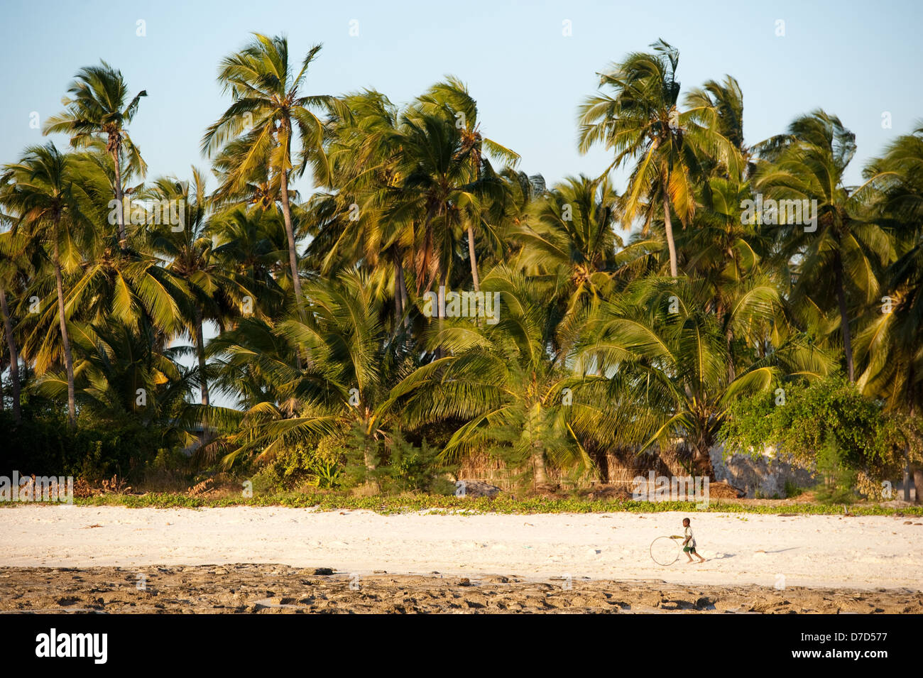 Palm-lined beach, Matemo island, Quirimba Archipelago, Mozambique Stock ...