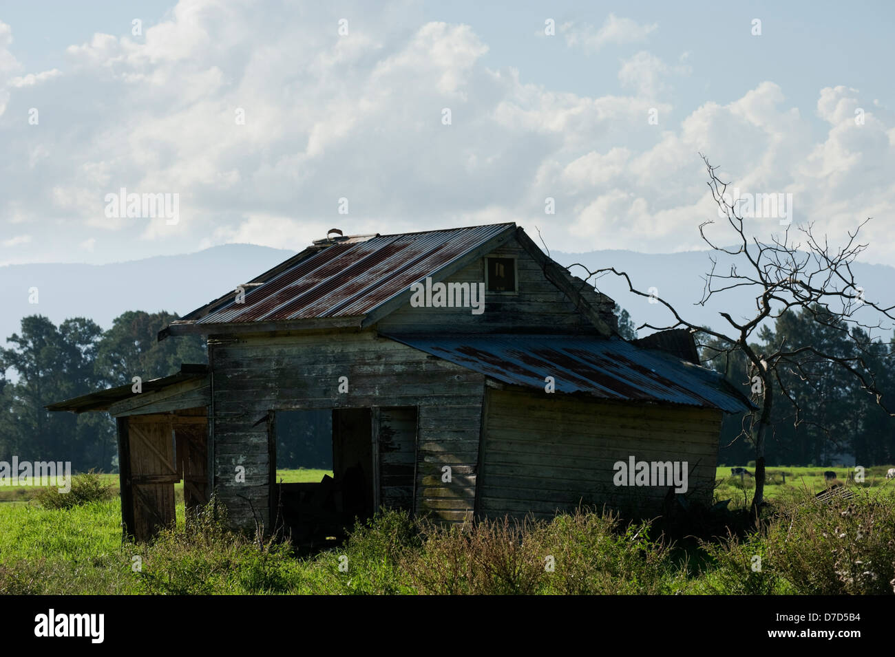 Old shack in a field hi-res stock photography and images - Alamy