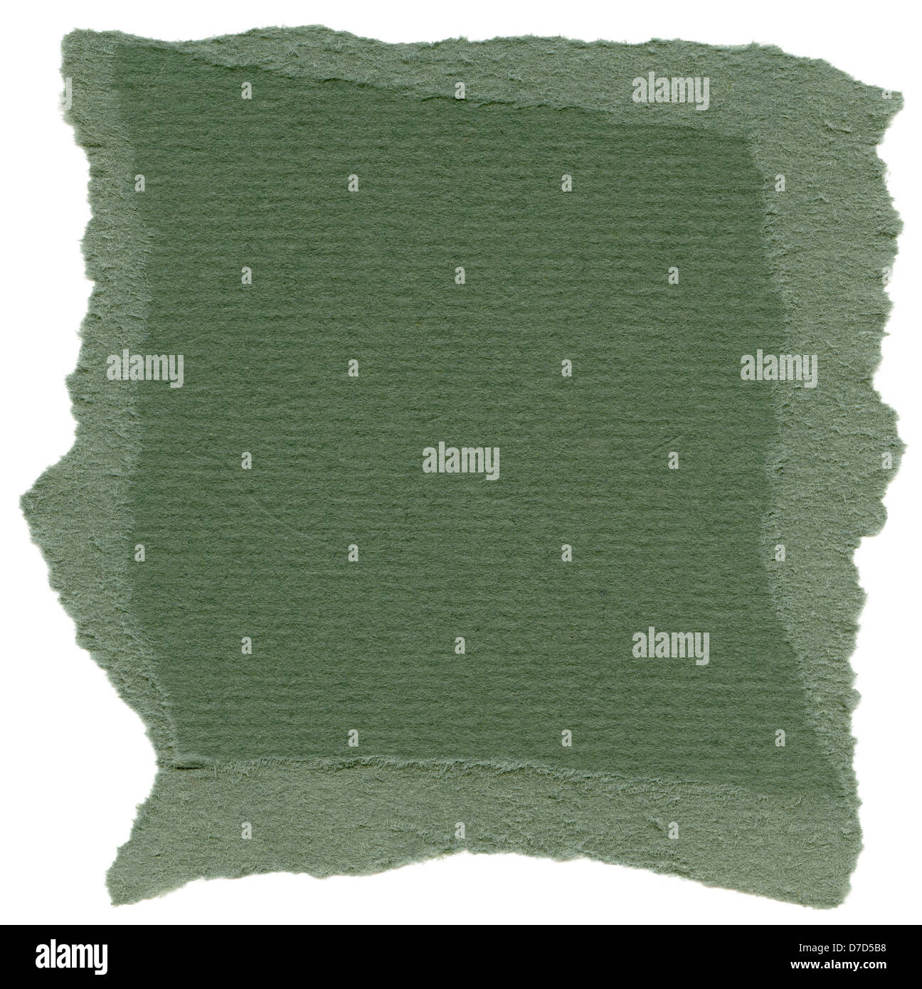 Texture hunter green fiber paper torn edges. Isolated on white ...