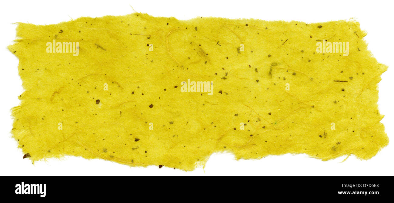 Texture yellow rice paper torn edges. Isolated on white background ...