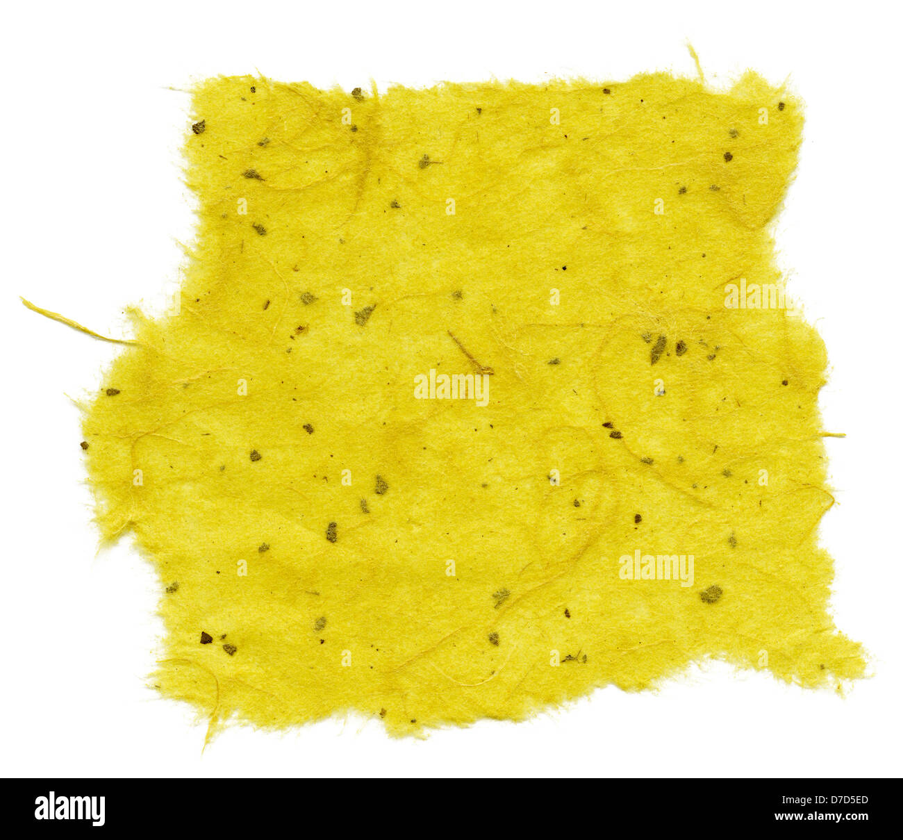 Texture yellow rice paper torn edges. Isolated on white background ...