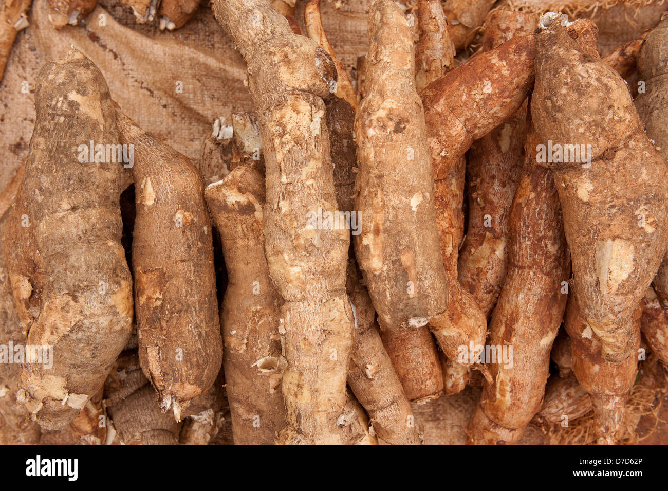 Cassava market hi-res stock photography and images - Alamy