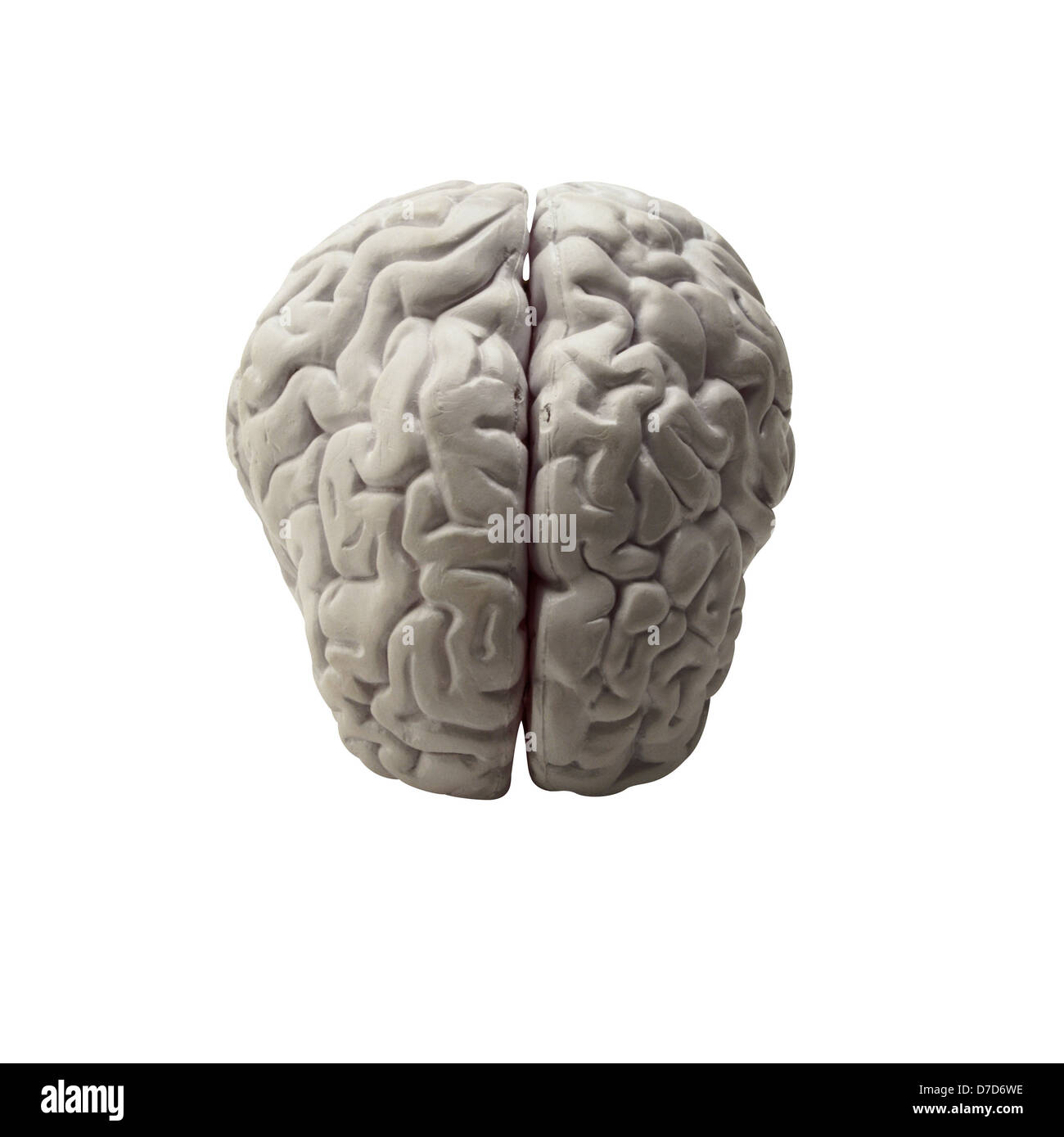 Human brain logo Cut Out Stock Images & Pictures - Alamy