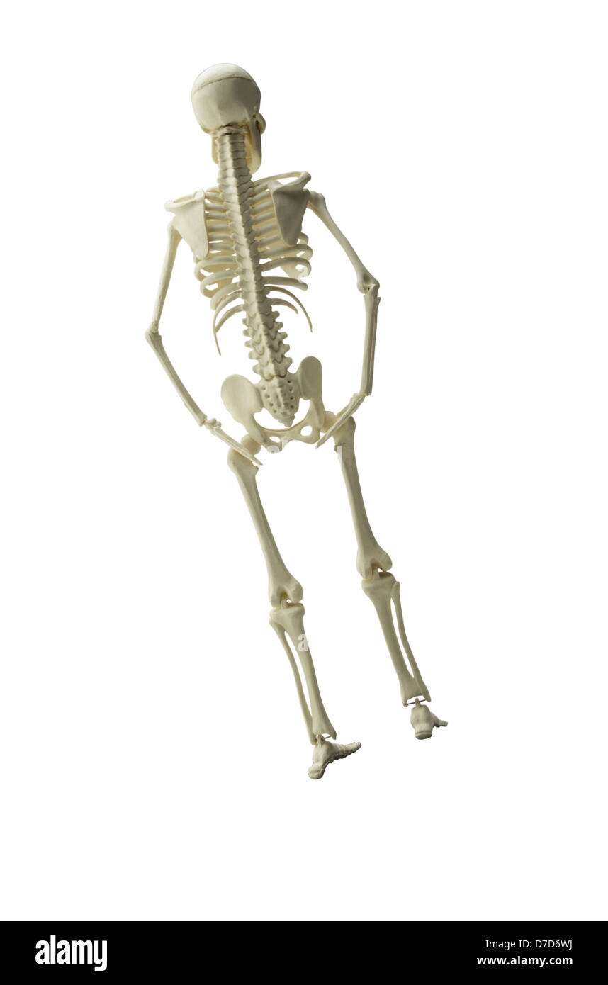 Stress party Cut Out Stock Images & Pictures - Alamy