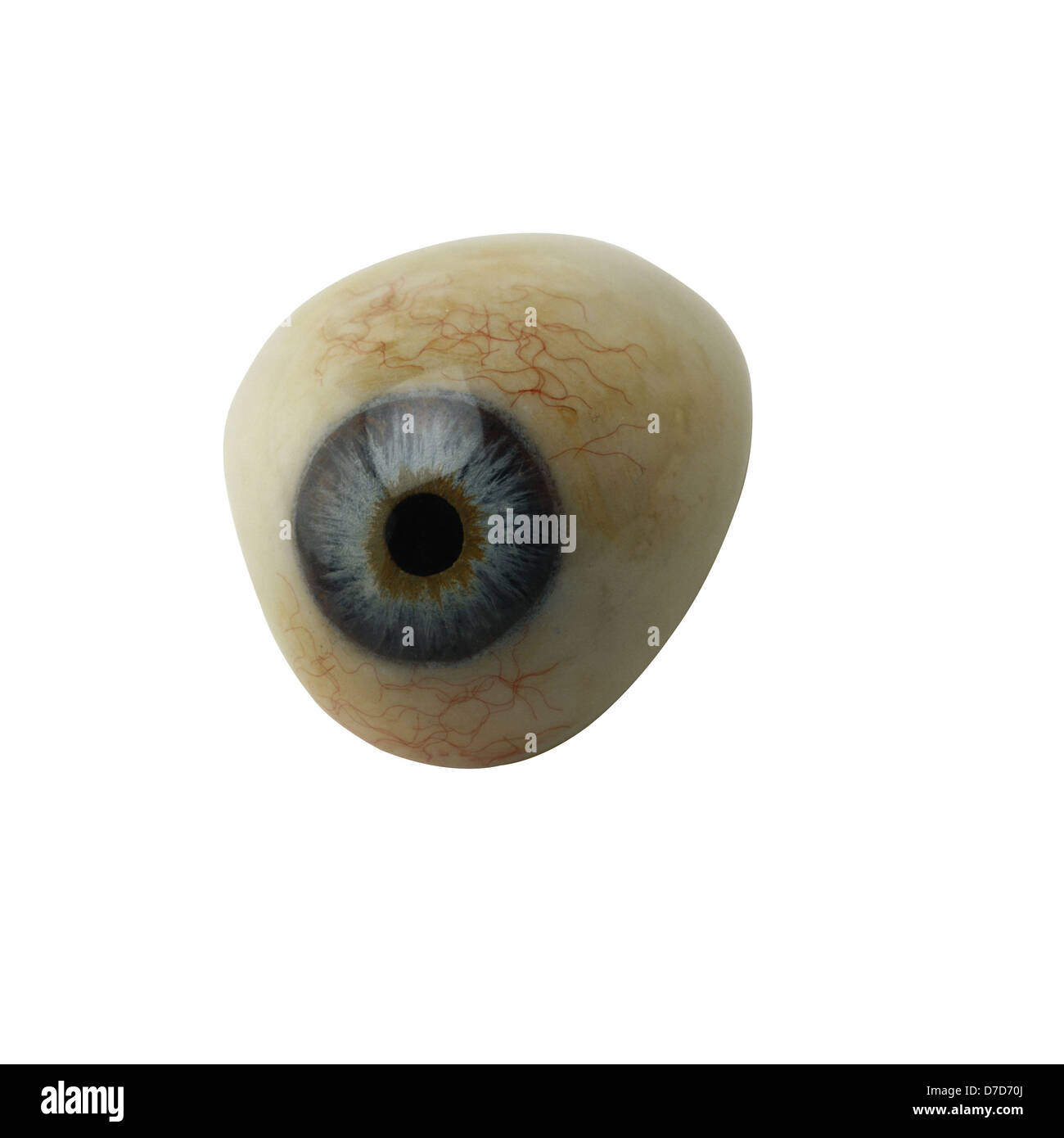 Bizarre bizarre bizarre Cut Out Stock Images & Pictures - Alamy