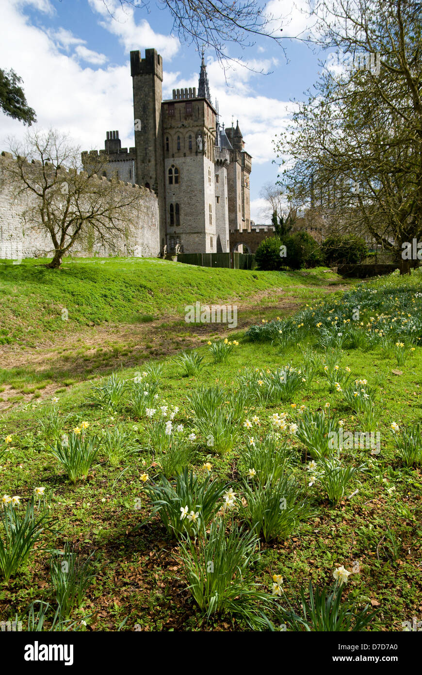 Daffodils castle tower spring hi-res stock photography and images - Alamy