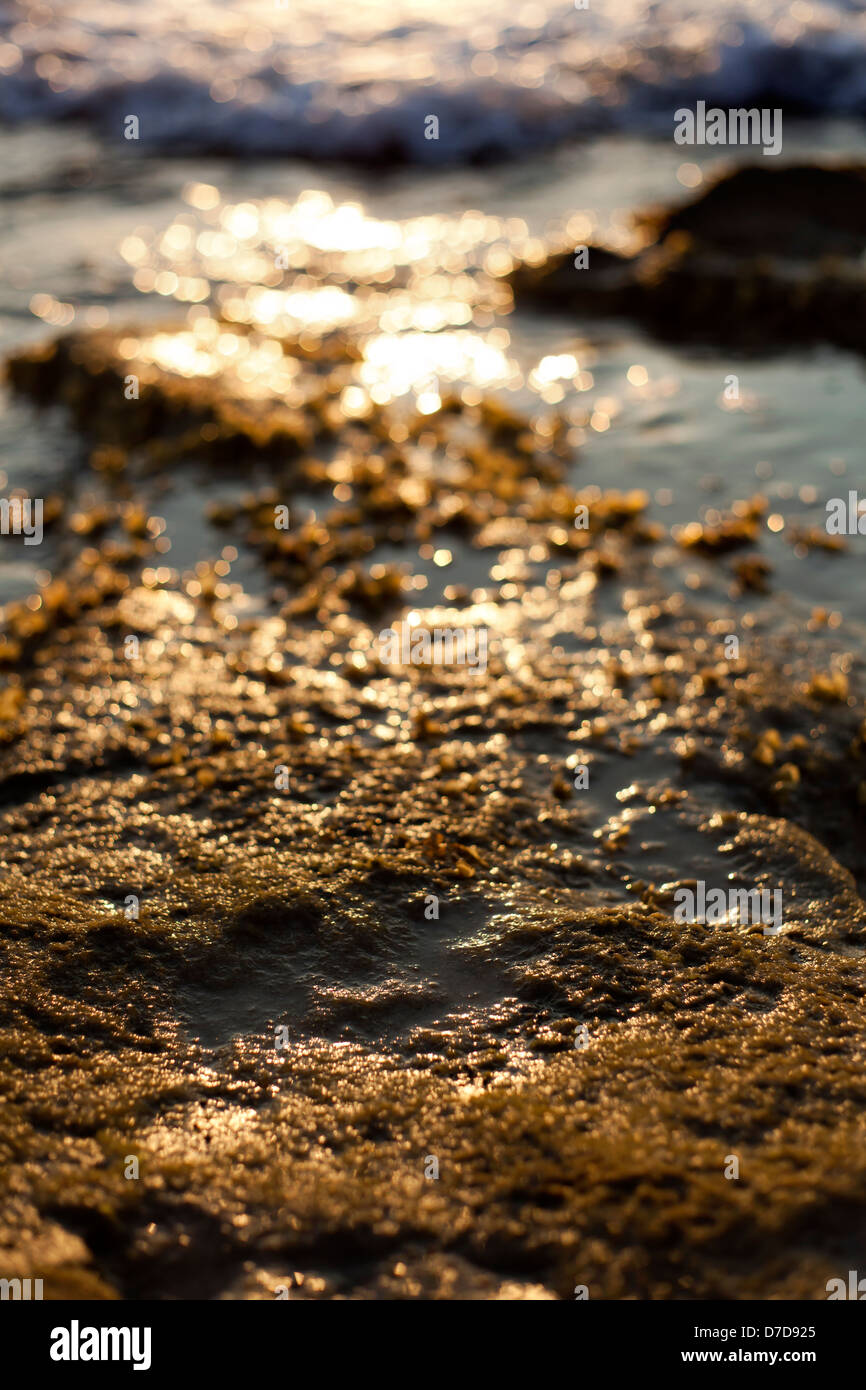 Depthfield hi-res stock photography and images - Alamy