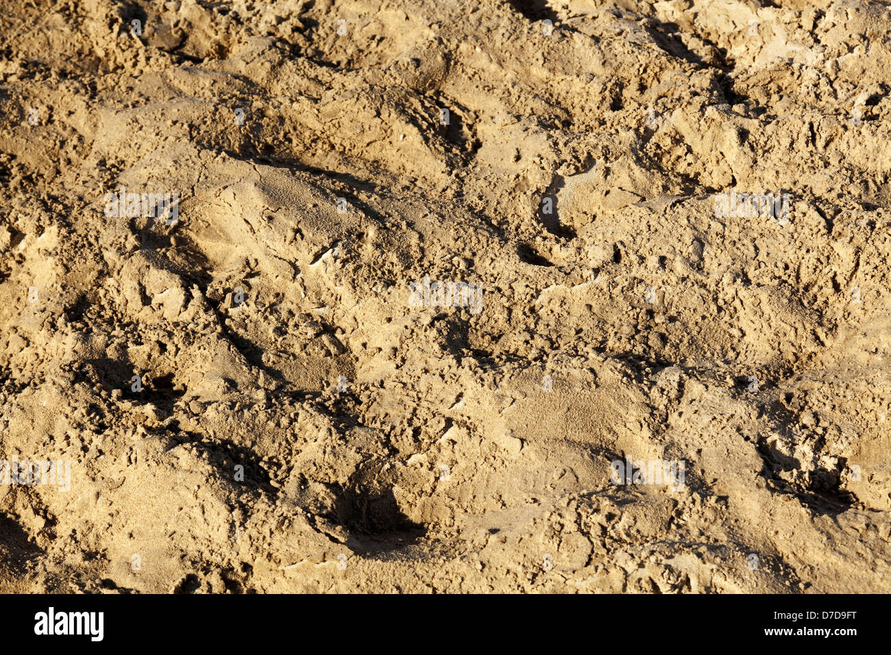 Onpatchbeach hi-res stock photography and images - Alamy