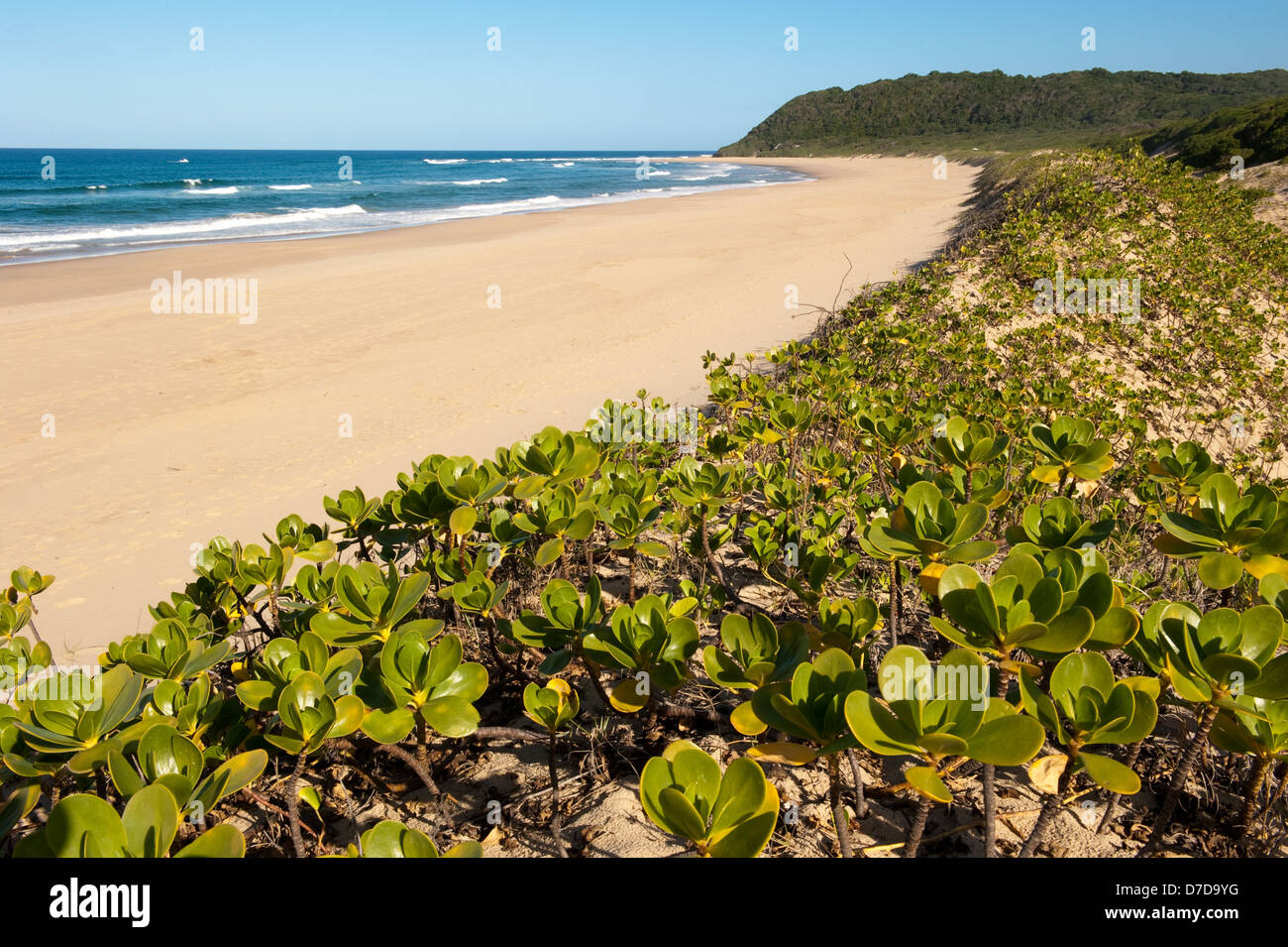 Beach, Ponta Malongane, Mozambique Stock Photo - Alamy