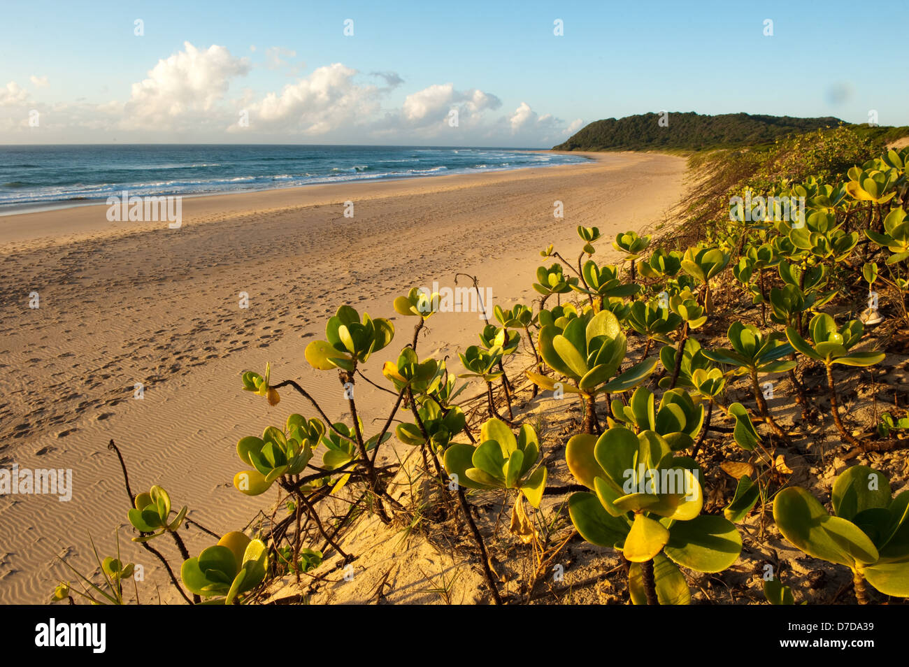 Beach, Ponta Malongane, Mozambique Stock Photo - Alamy